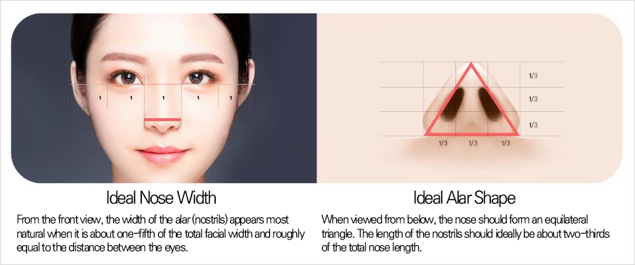 Can Alar Weir Reduction Surgery Improve Uneven Nostrils? – DL Plastic ...